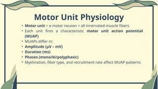 Electromyography (EMG) in Physiotherapy: Principles, Procedure ...