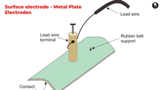 Electromyography (emg) basics | PDF | Medical Tests | Medical Health