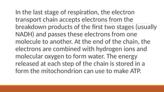 Electron-Transport-ChainsElectron-Transport-Chainss.pptxs.pptx