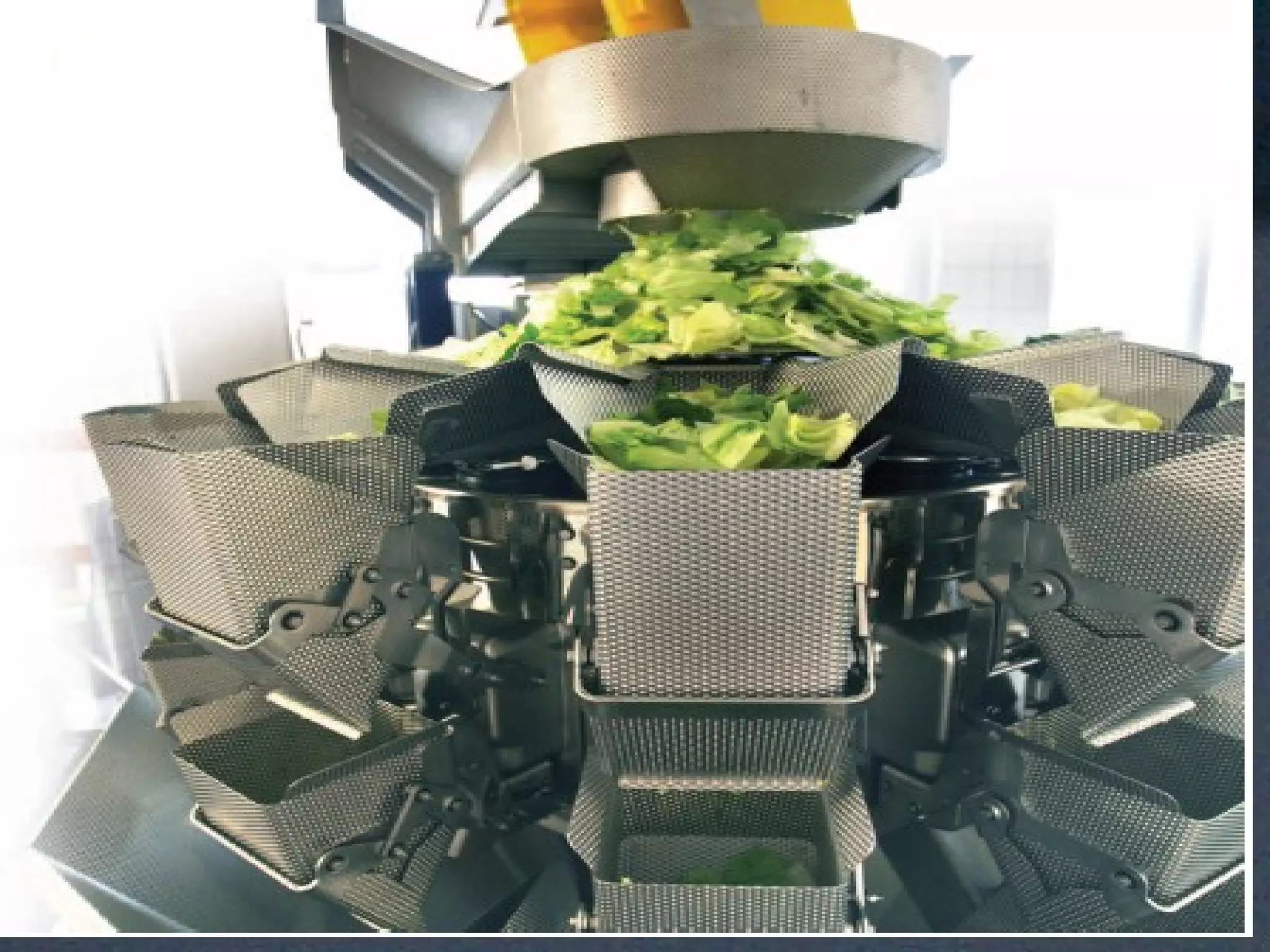 Role of electron accelerators in food processing and preservation | PPT ...