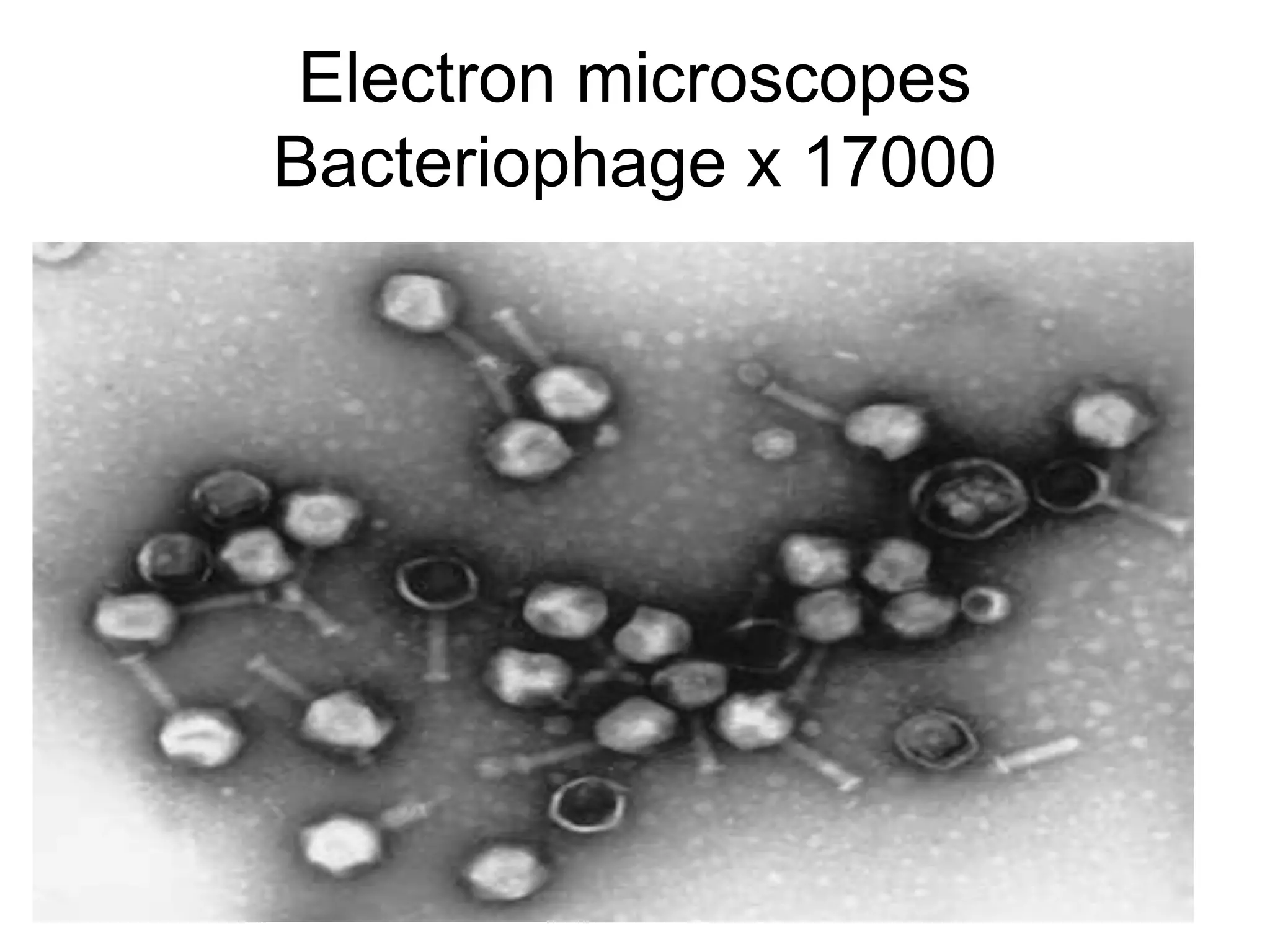 Electron and light micrographs | PPTX