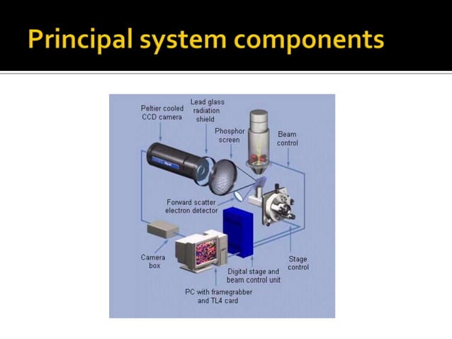 Electron backscatter diffraction (ebsd) | PPTX
