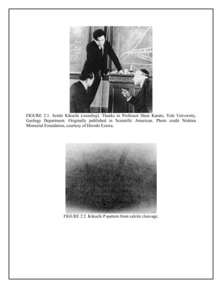 Electron backscatter diffraction in materials | PDF | Chemistry | Science