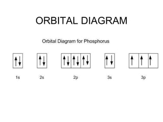 Electron configuration | PPT | Chemistry | Science