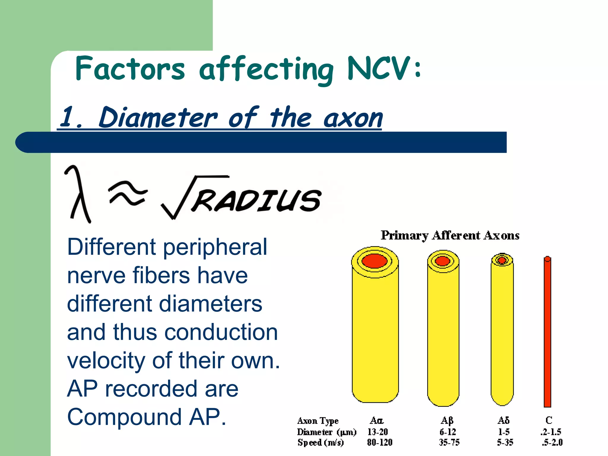 Electroneurography | PPT