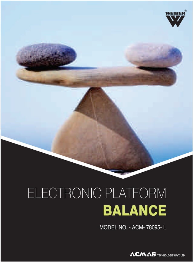 Electronic Platform Balance | PDF | Technology & Computing