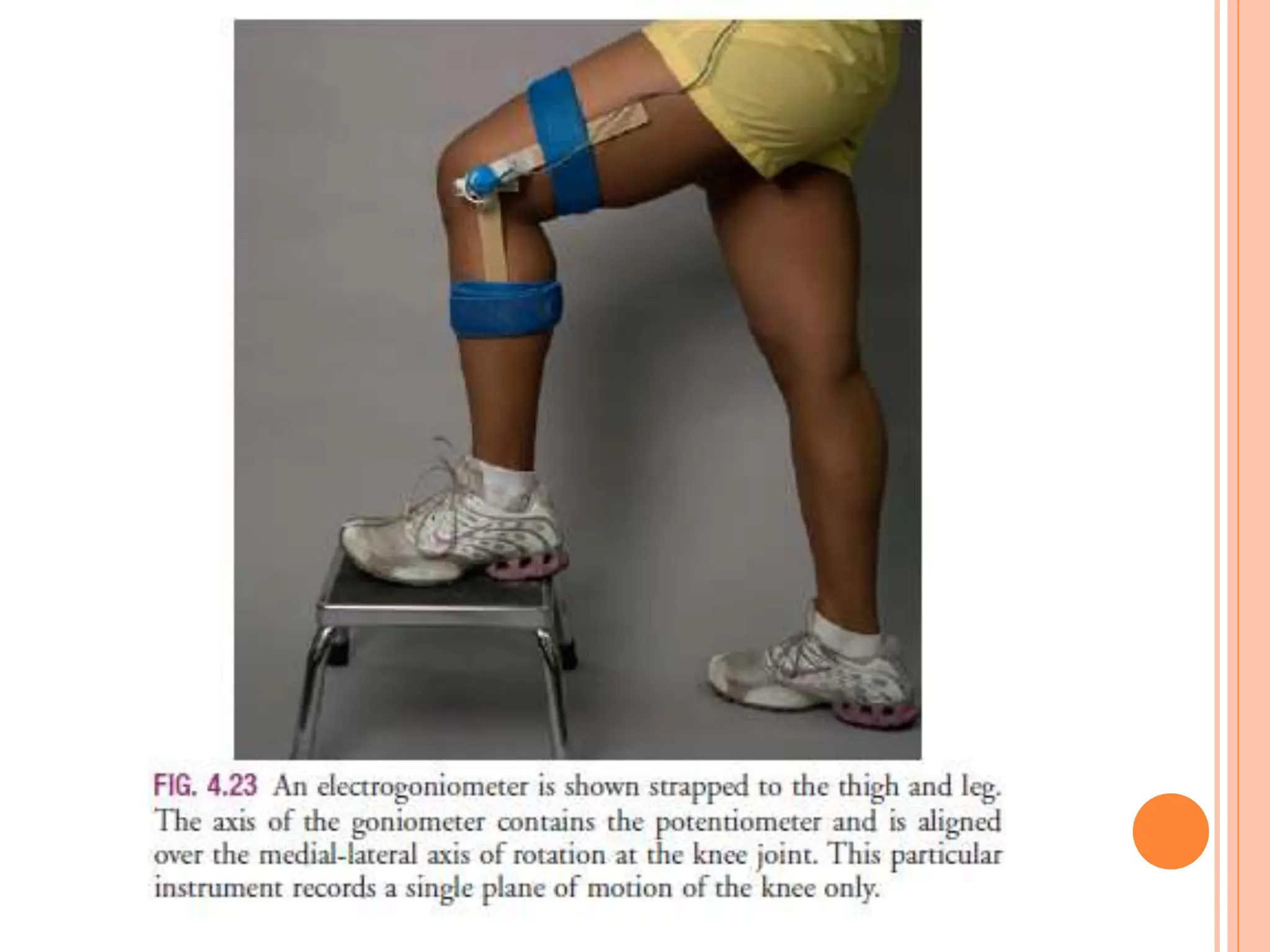 ELECTRONIC GONIOMETER pptx....pptx