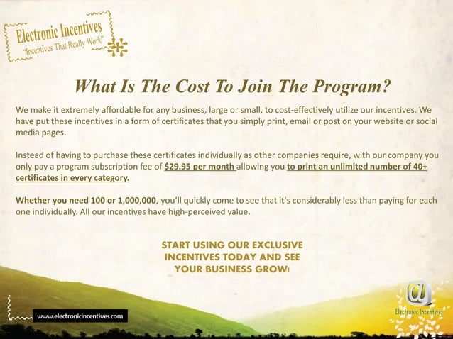 Electronic incentives presentation for companies (2) | PDF ...