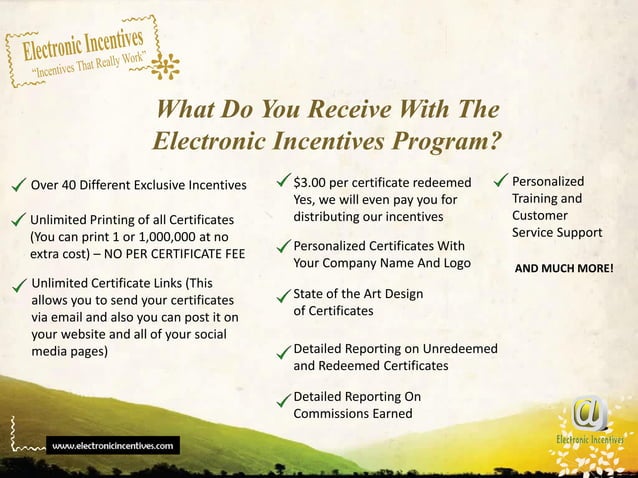 Electronic incentives presentation for companies (2) | PDF ...