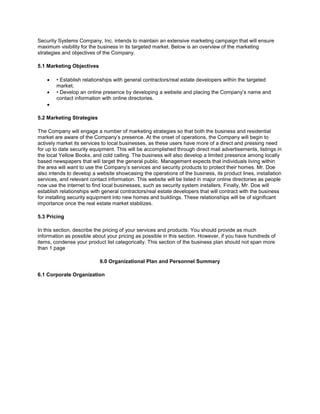 Electronic Security Business Plan.docx
