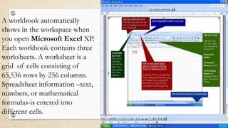 Electronic spreadsheet software | PPTX