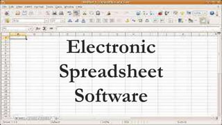 Spreadsheet Software