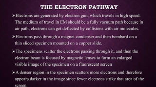 ELECTRON MICROSCOPE-1.pptx