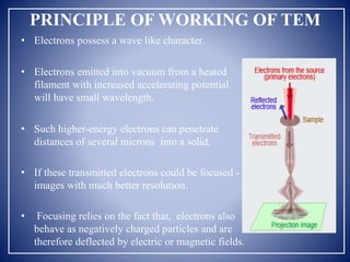 Electron microscope | PPTX