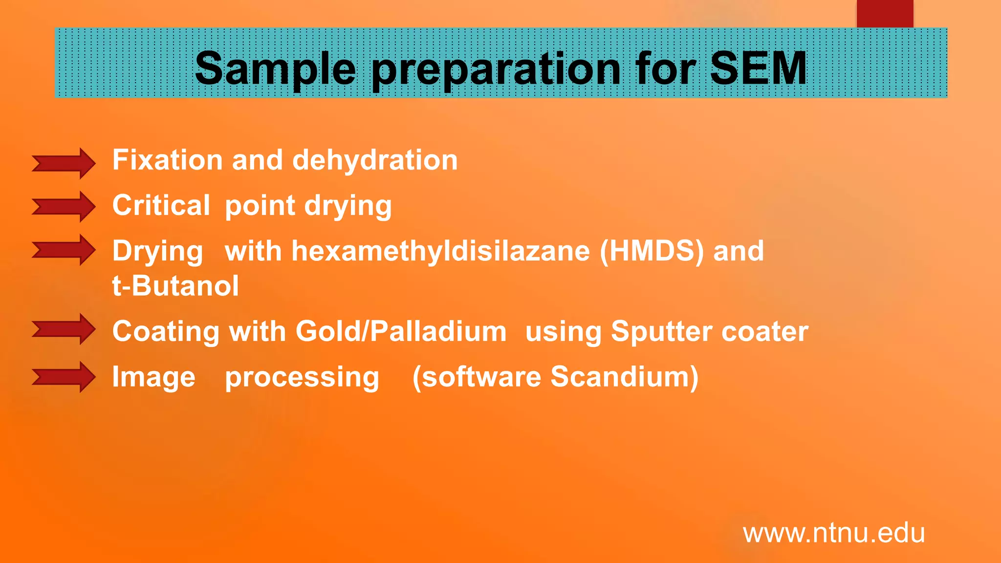 Electron microscope - SEM and TEM | PPTX