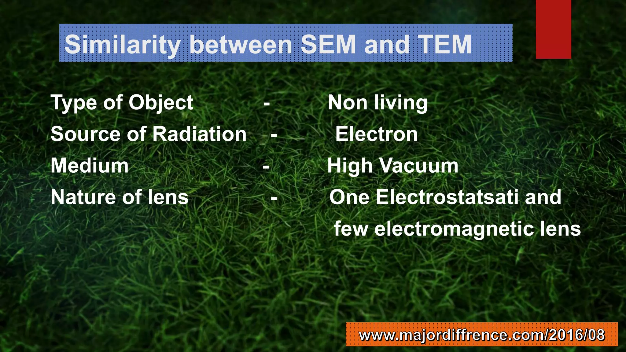 Electron microscope - SEM and TEM | PPTX