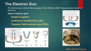 Electron microscope - SEM and TEM | PPTX