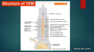 Electron microscope - SEM and TEM | PPTX