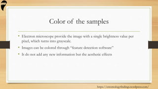 Electron microscope | PPTX | Chemistry | Science