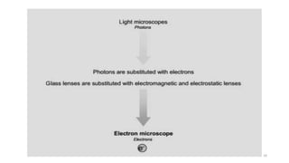 Electron microscope | PPTX | Physics | Science