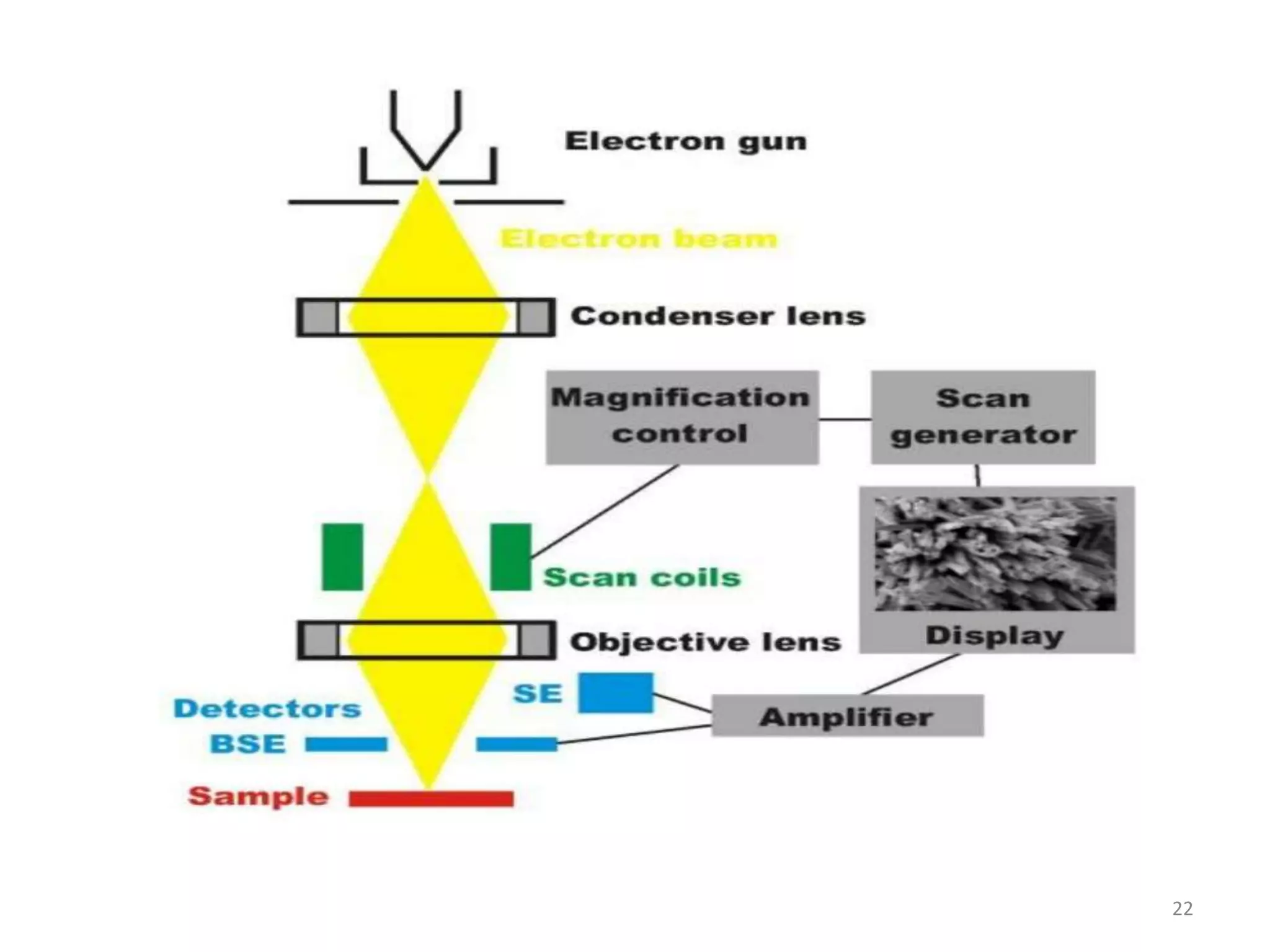 Electron microscope, principle and application | PPTX