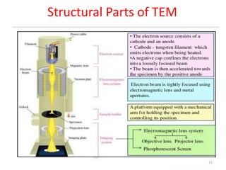Electron microscope, principle and application | PPTX