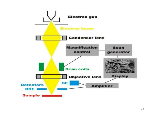 Electron microscope, principle and application