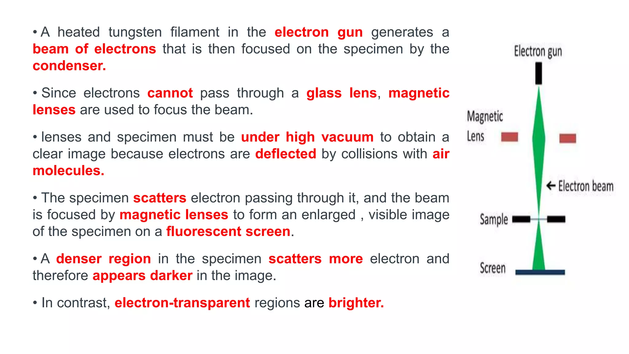 Electron microscope (SEM and TEM) | PPTX