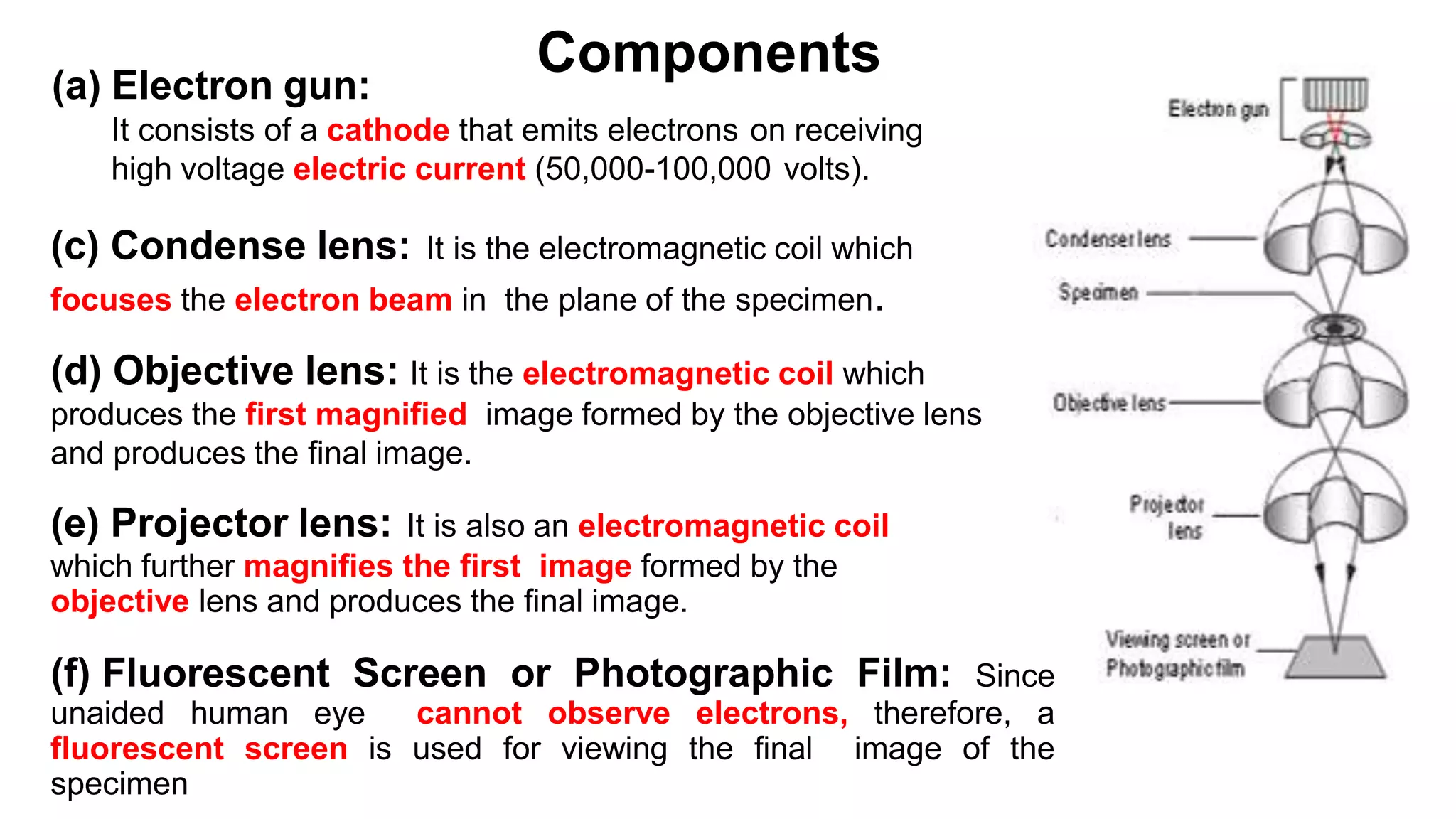 Electron microscope (SEM and TEM) | PPTX