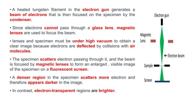 Electron microscope (SEM and TEM) | PPTX | Physics | Science