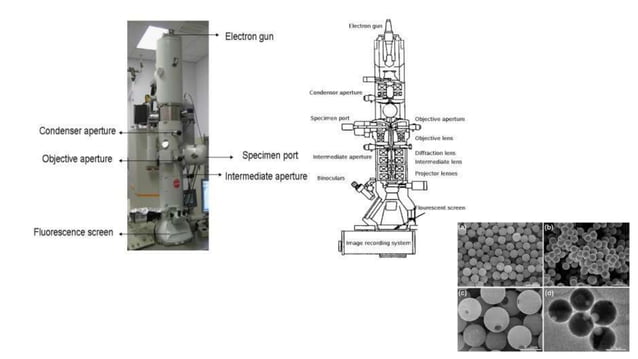 Electron microscope (SEM and TEM) | PPTX | Physics | Science
