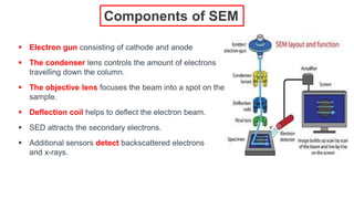 Electron microscope (SEM and TEM) | PPTX