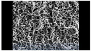 Electron microscope (SEM and TEM) | PPTX | Physics | Science