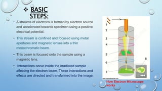 Electron microscope | PPTX