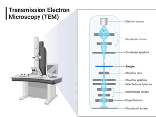 Electron microscope | PPTX