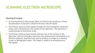 Electron microscope.pptx