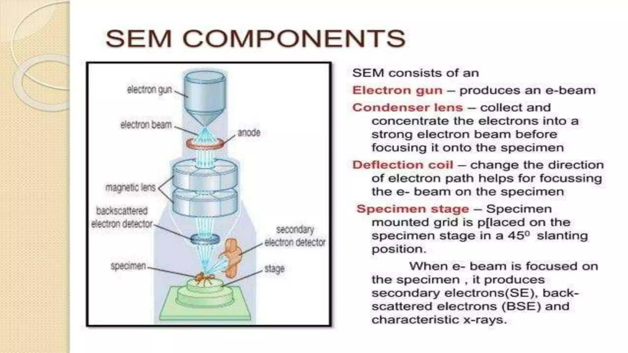 Electron Microscope .pptx