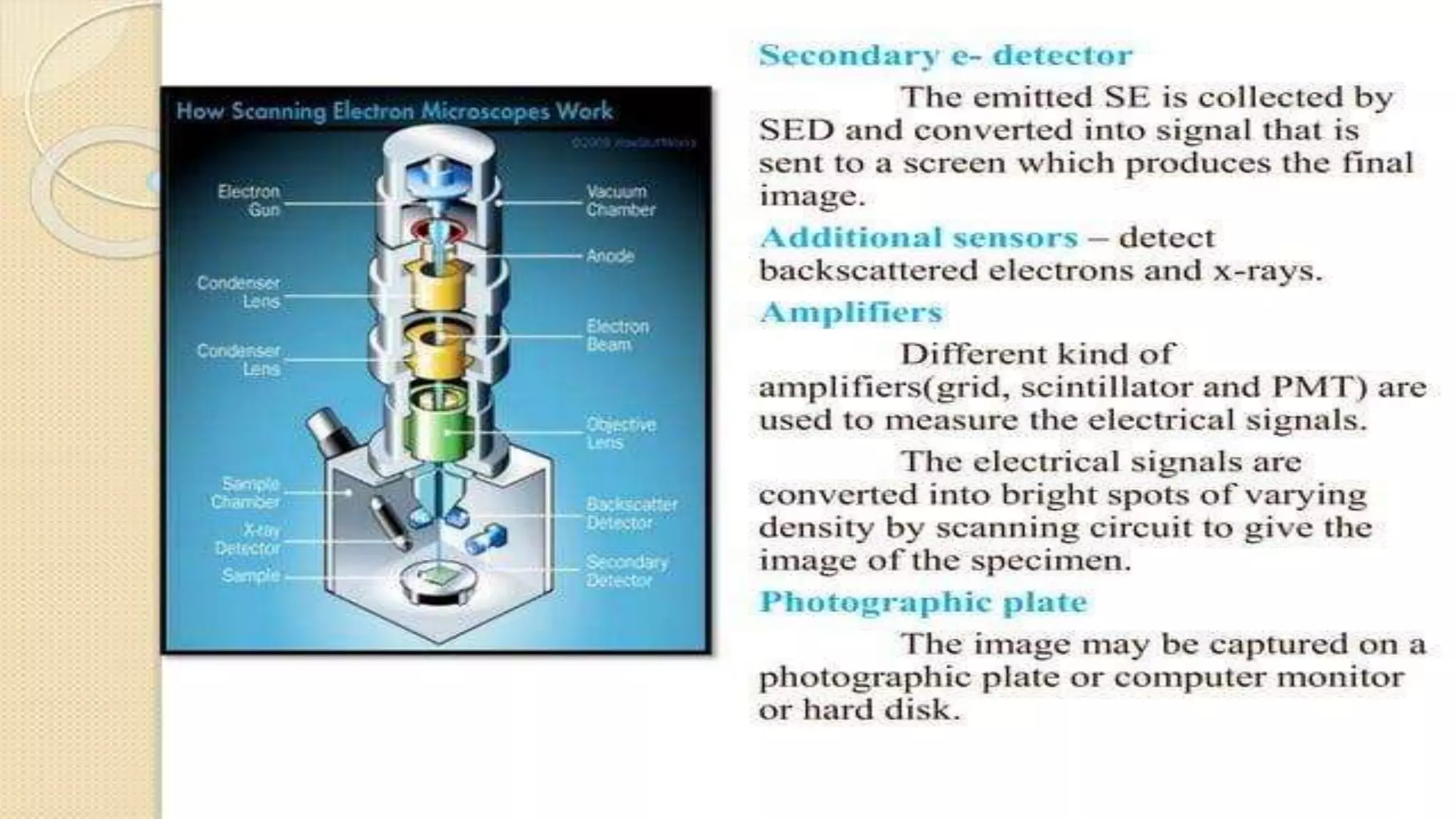Electron Microscope .pptx