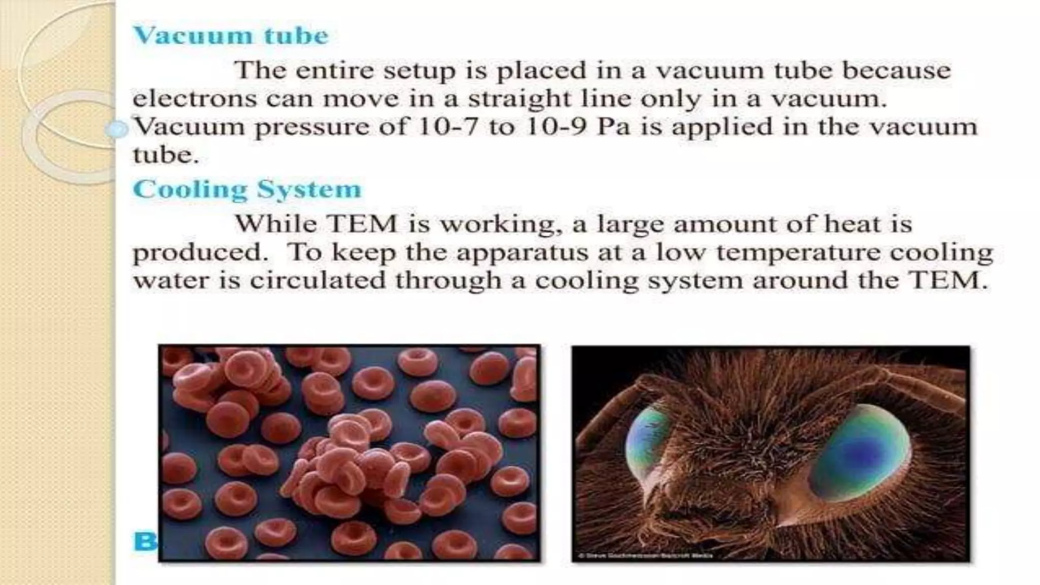 Electron Microscope .pptx