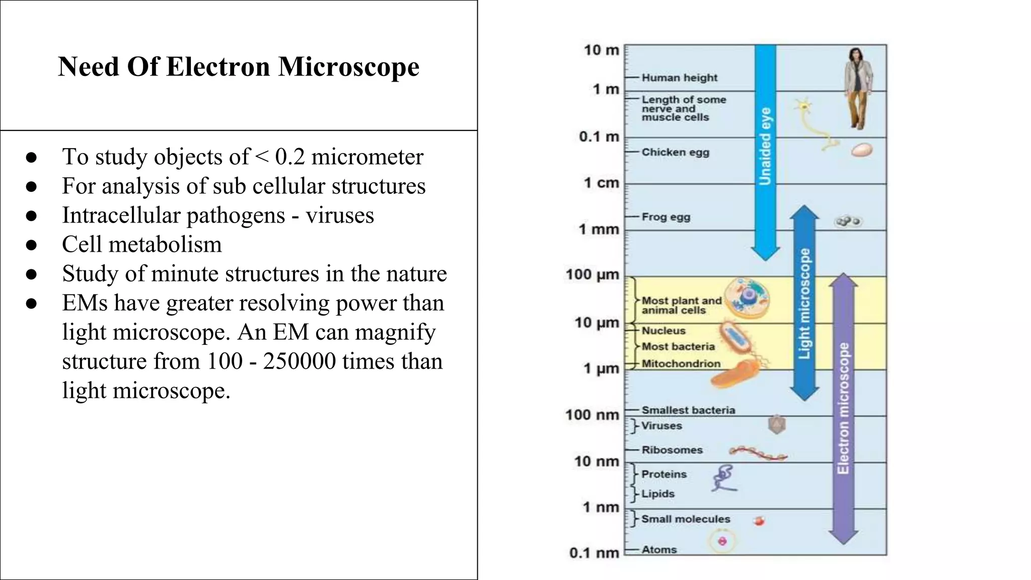 Electron Microscope .pptx