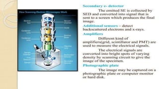Electron Microscope .pptx