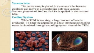 Electron Microscope Pptx