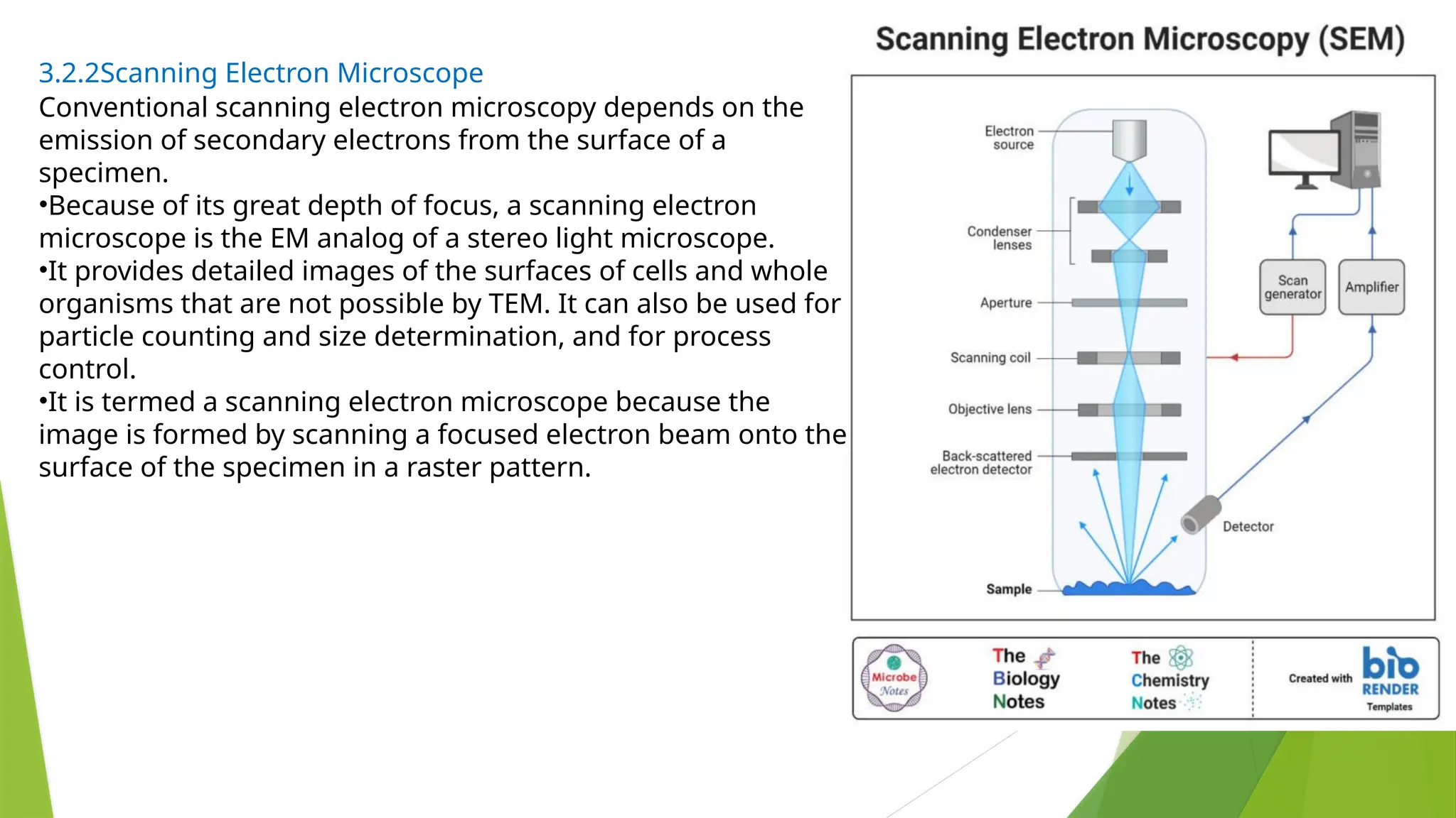 Electron Microscope and its types .pptx