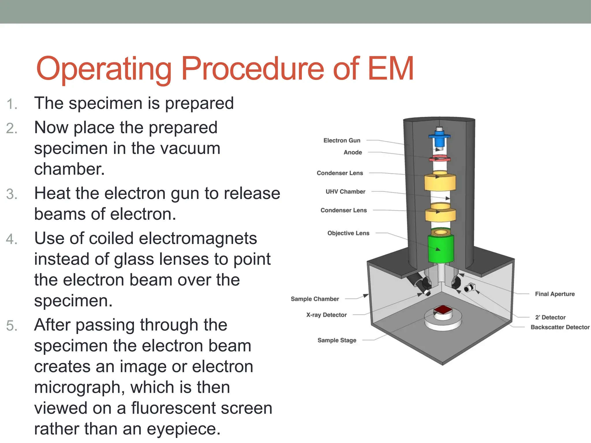 Electron Microscope (principle, operation procedure, types, TEM, SEM, EM Images).pptx
