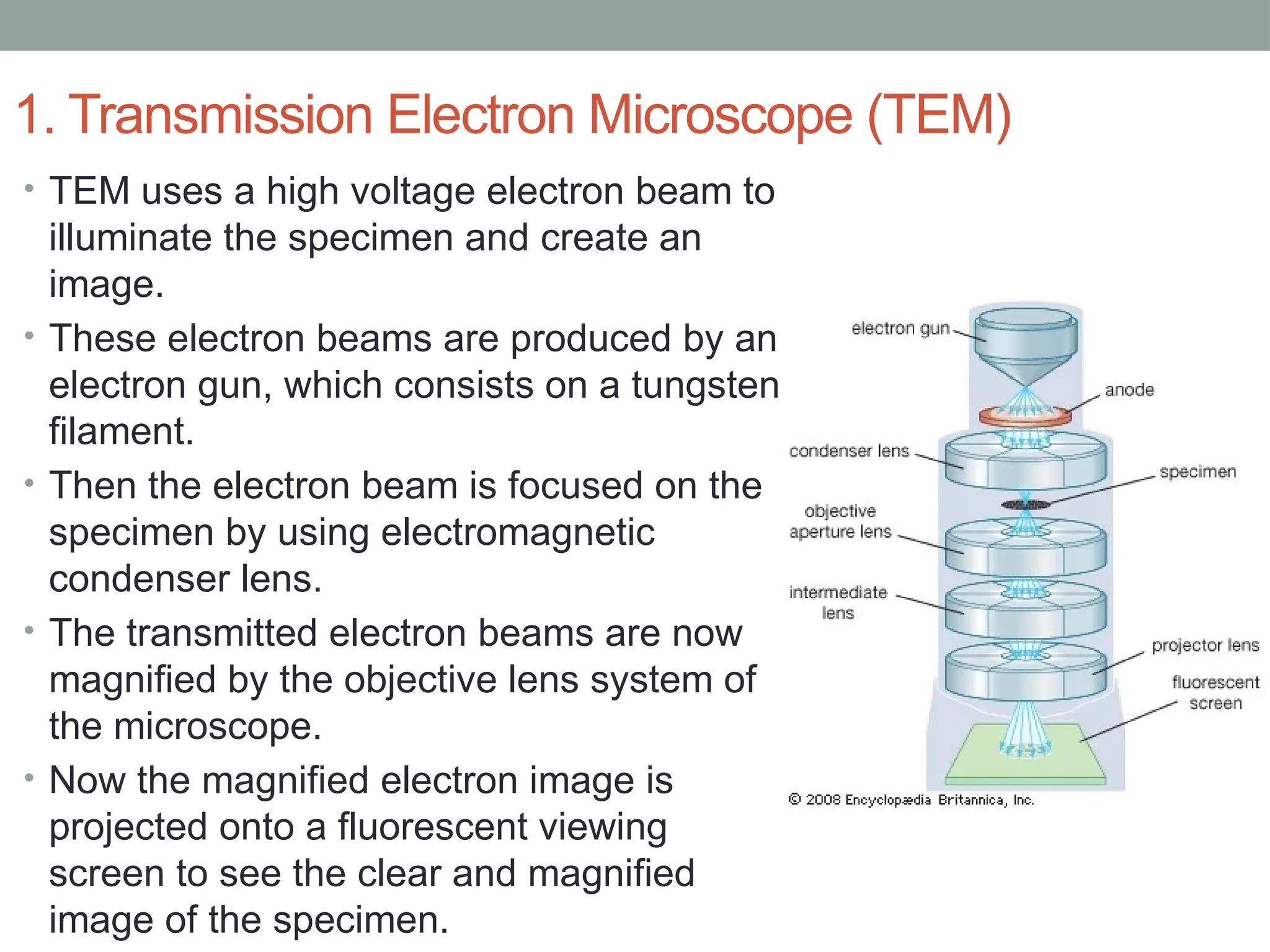 Electron Microscope (principle, operation procedure, types, TEM, SEM, EM Images).pptx