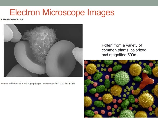 Electron Microscope (principle, operation procedure, types, TEM, SEM, EM Images).pptx