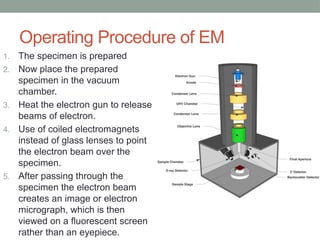 Electron Microscope (principle, operation procedure, types, TEM, SEM ...