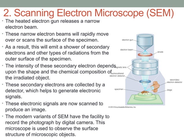 Electron Microscope (principle, operation procedure, types, TEM, SEM, EM Images).pptx