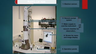 ELECTRON MICROSCOPE ELECTRON MICROSCOPE.pptx
