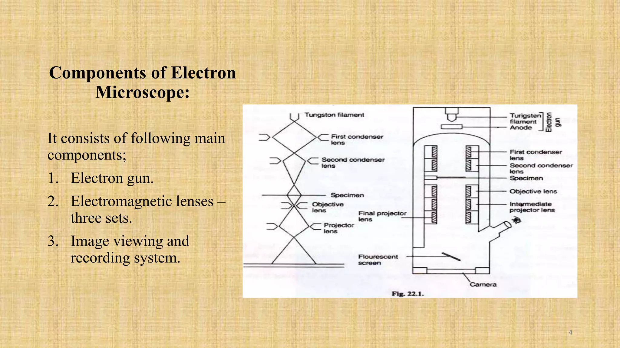 Electron microscope 1 | PPT